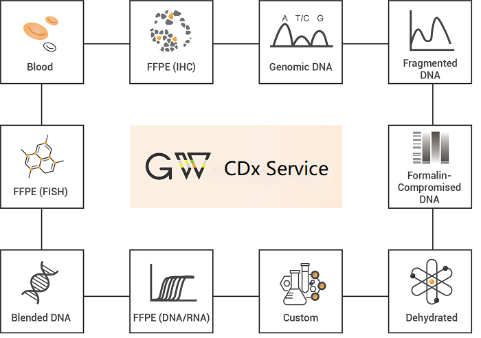 GeneWell Bio Tech - Tumor CDx service