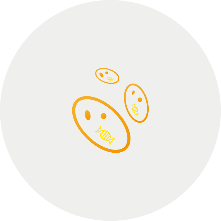 GeneWell Bio Tech - 标准品定制服务